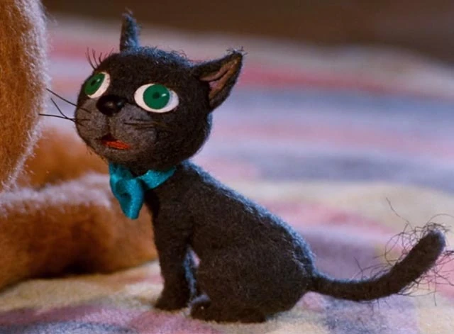 Blinkie (cat) | Oz Wiki | Fandom