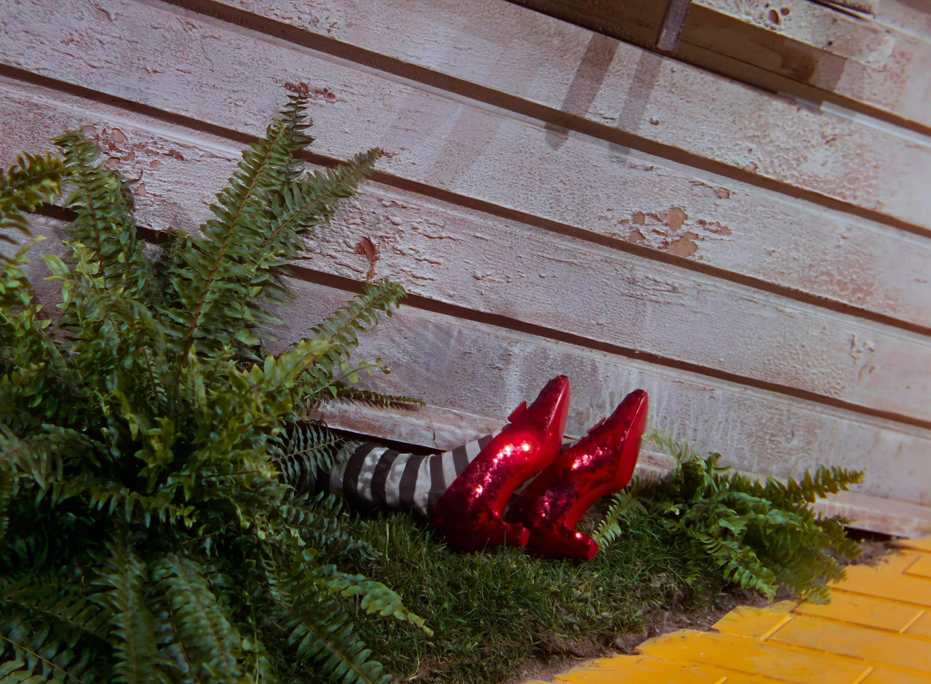 Wicked Witch Of The East House