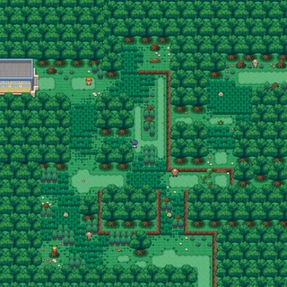 Genisis Forest | Pokemon Infinity Wiki | Fandom