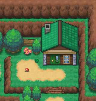 Trick House | Pokemon Infinity Wiki | Fandom