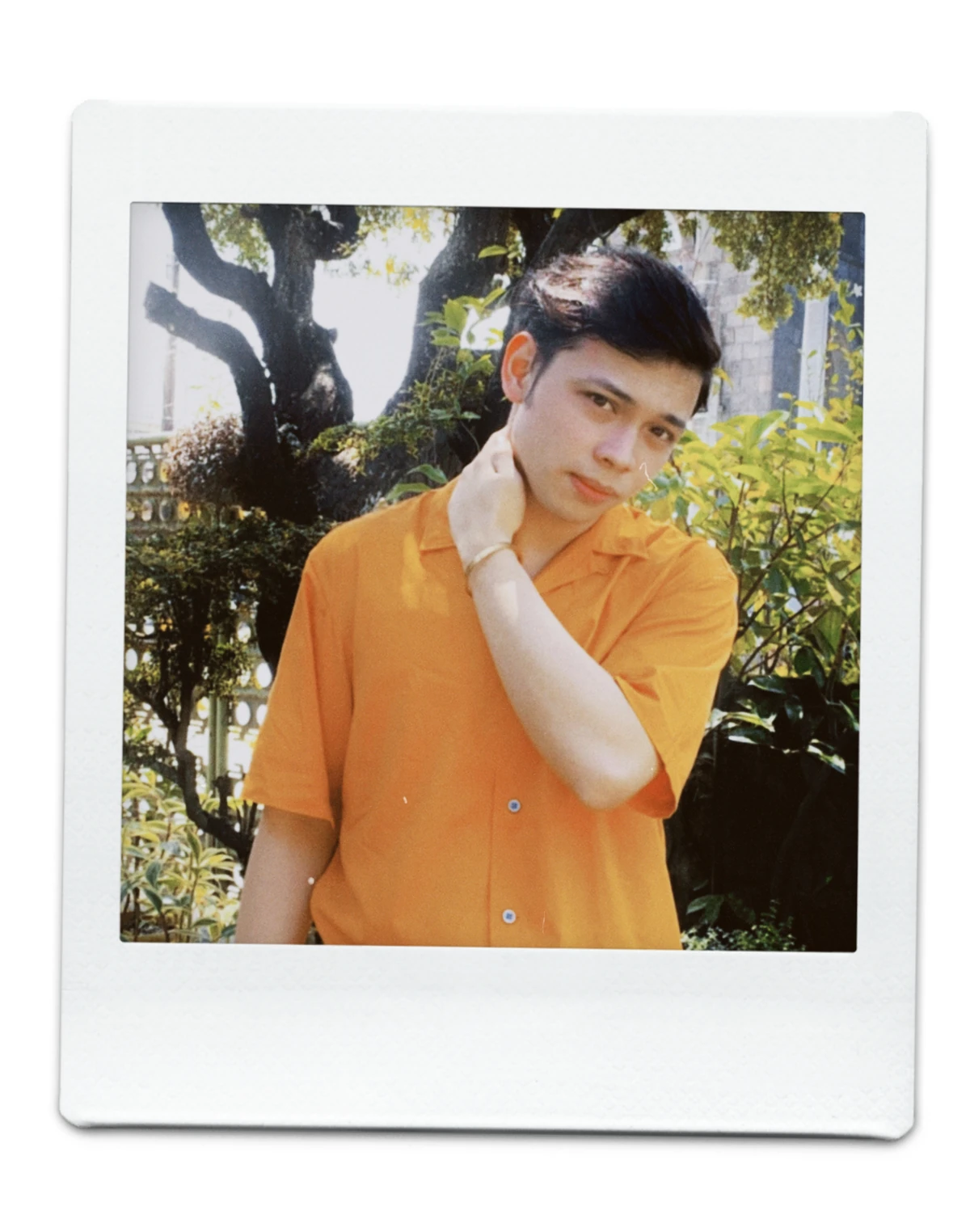Theo | Ppop Wiki | Fandom