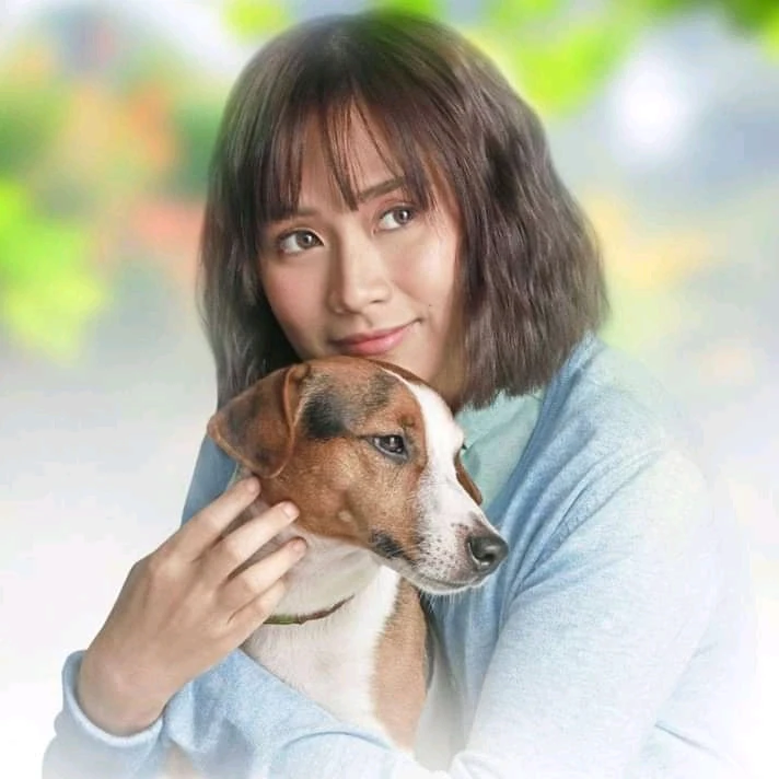 Sarah Geronimo | Ppop Wiki | Fandom