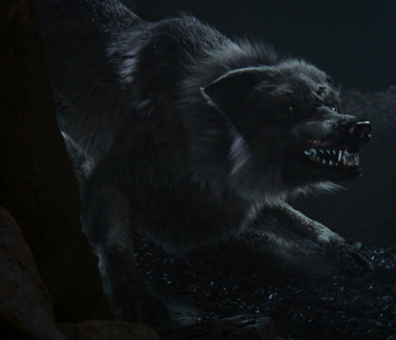 Once Upon A Time Red Wolf Form