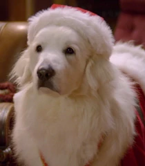 Santa Paws | Heroes Wiki | Fandom