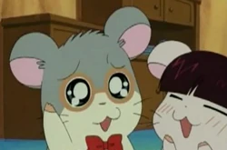 dexter hamtaro