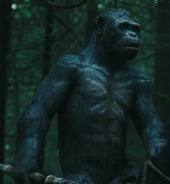 Spear (Planet of the Apes) | Heroes Wiki | Fandom