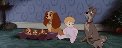 Scamp | Heroes Wiki | Fandom