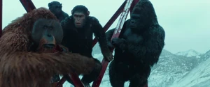 Caesar (Planet of the Apes Reboot)/Gallery | Heroes Wiki | Fandom