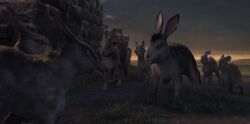 Hyzenthlay | Heroes Wiki | Fandom