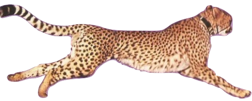 Duma (Disney) | Heroes Wiki | Fandom