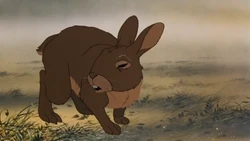 Hazel (Watership Down) | Heroes Wiki | Fandom