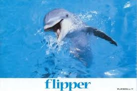 Flipper | Heroes Wiki | Fandom
