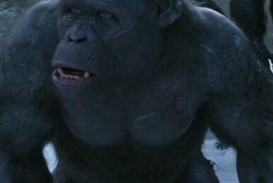 Planet Of The Apes Buck