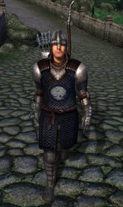 City Watch | Heroes Wiki | Fandom