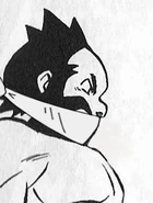 Chuck (Pokémon) | Heroes Wiki | Fandom