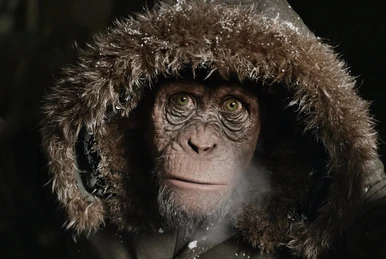 Rise Of The Planet Of The Apes Buck Is Released