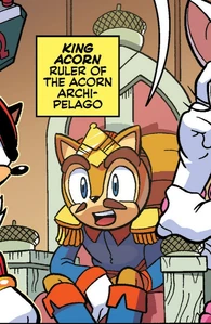 King Acorn | Heroes Wiki | Fandom