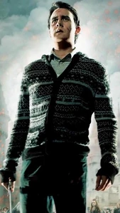 Neville Longbottom | Heroes Wiki | Fandom