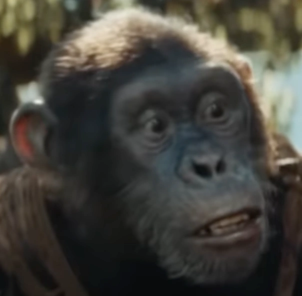 Anaya | Heroes Wiki | Fandom