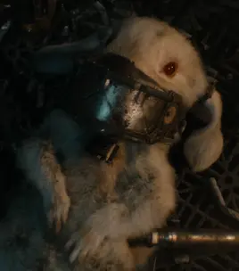 Floor (Marvel Cinematic Universe) | Heroes Wiki | Fandom