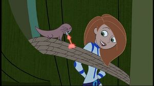 Rufus (Kim Possible)/Gallery | Heroes Wiki | Fandom