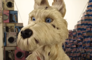 Chief (Isle of Dogs) | Heroes Wiki | Fandom