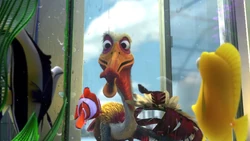 nigel finding nemo
