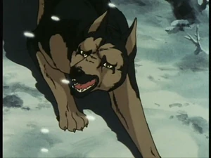 John (Ginga Nagareboshi Gin)/Gallery | Heroes Wiki | Fandom