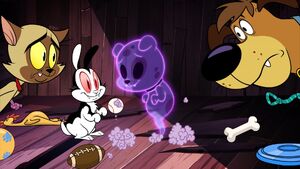 Harold (Bunnicula)/Gallery | Heroes Wiki | Fandom