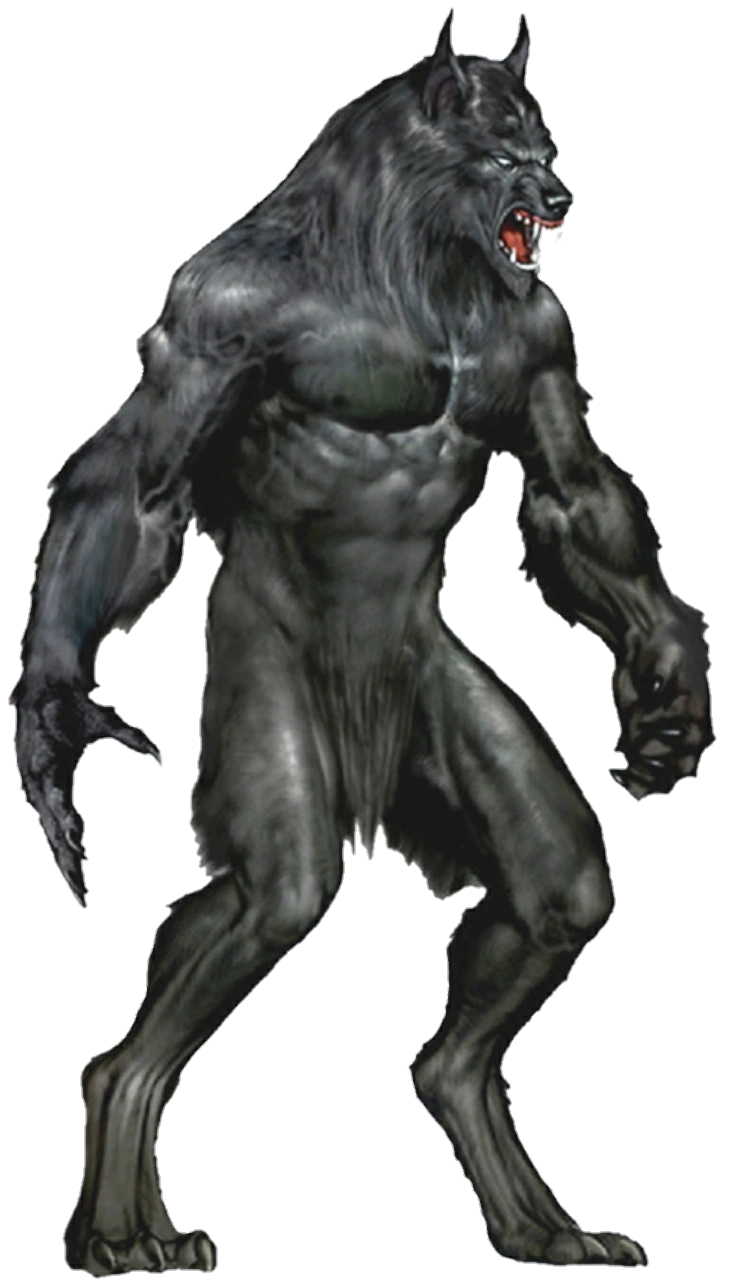 Werewolves Vs Vampires Van Helsing