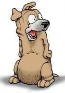 Satchel Pooch | Heroes Wiki | Fandom