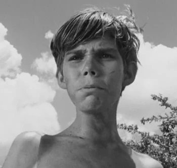 Ralph (Lord of the Flies) | Heroes Wiki | Fandom