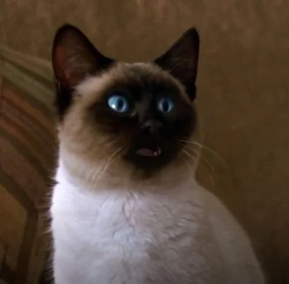 Garfield The Movie Nermal