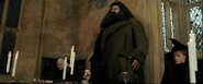 Rubeus Hagrid | Heroes Wiki | Fandom