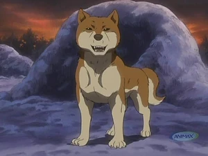 Sasuke (Ginga Legend Weed) | Heroes Wiki | Fandom
