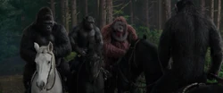 Rocket (Planet of the Apes) | Heroes Wiki | Fandom