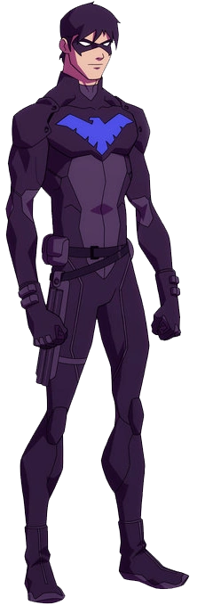 Nightwing (Young Justice) | Heroes Wiki | Fandom