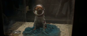 Cosmo the Spacedog (Marvel Cinematic Universe) | Heroes Wiki | Fandom