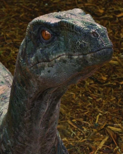 Delta (Jurassic World) | Heroes Wiki | Fandom