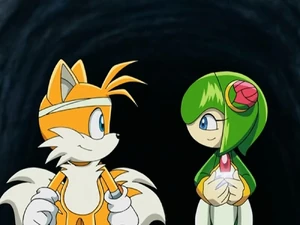 Miles "Tails" Prower (Sonic X)/Gallery | Heroes Wiki | Fandom
