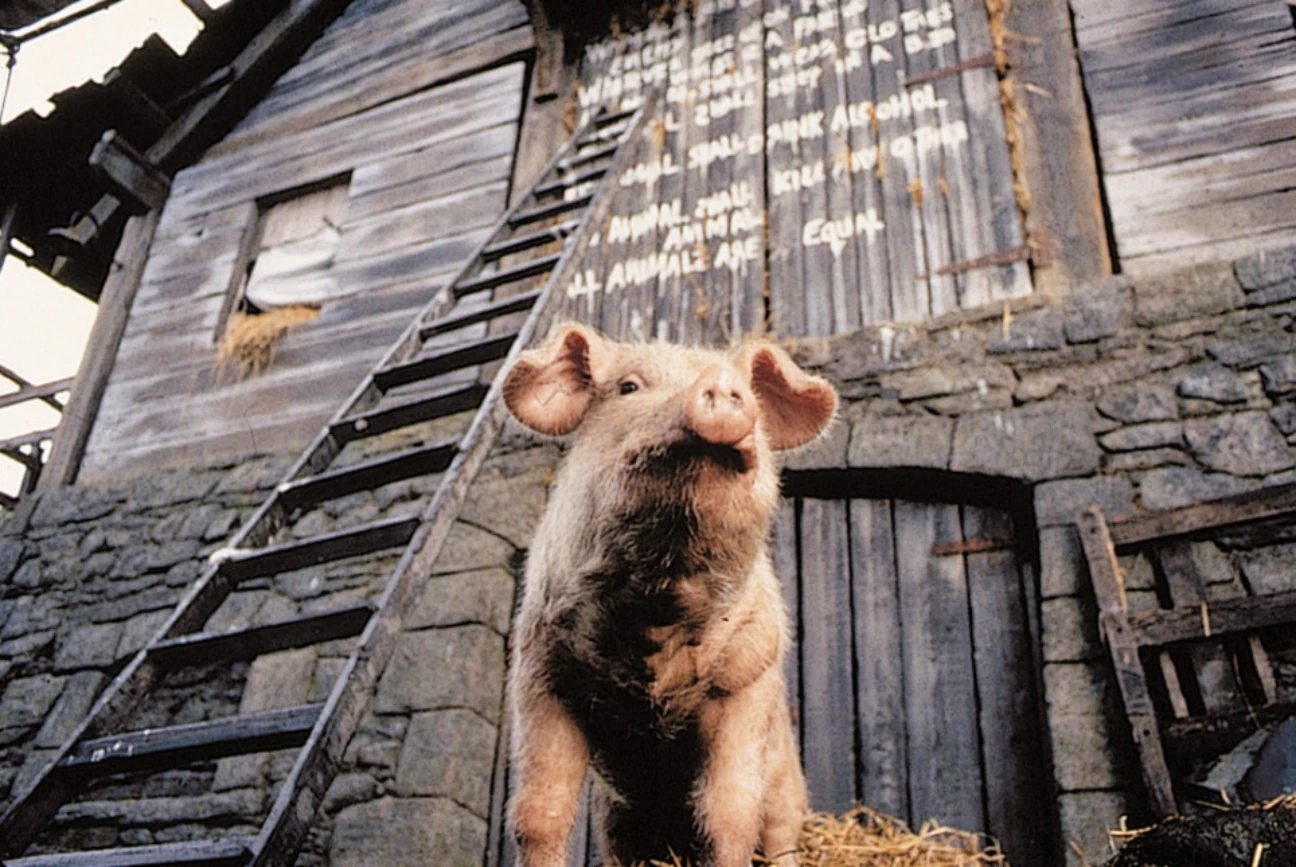 Snowball (Animal Farm) | Heroes Wiki | Fandom