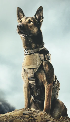 Max | Heroes Wiki | Fandom