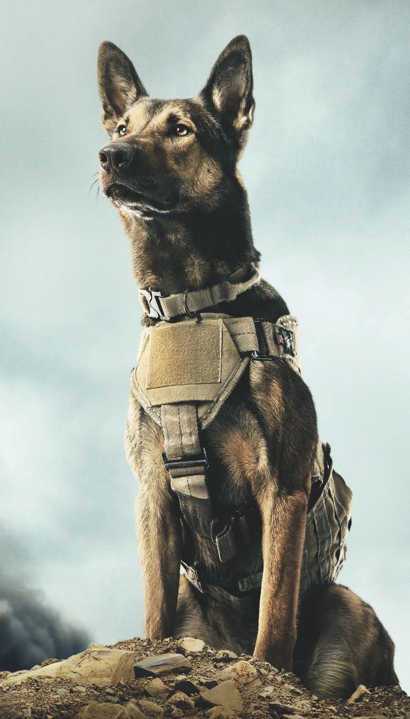 Max | Heroes Wiki | Fandom