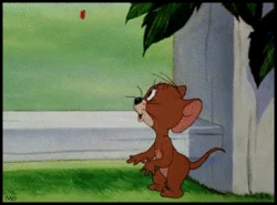 Jerry The Mouse In Love