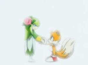 Miles "Tails" Prower (Sonic X)/Gallery | Heroes Wiki | Fandom