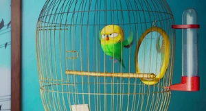 Sweet Pea (The Secret Life of Pets)/Gallery | Heroes Wiki | Fandom