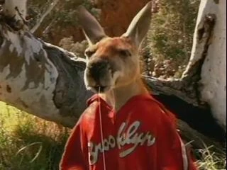 kangaroo jack 2