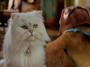 Snowbell/Gallery | Heroes Wiki | Fandom