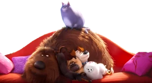 Buddy (The Secret Life of Pets)/Gallery | Heroes Wiki | Fandom