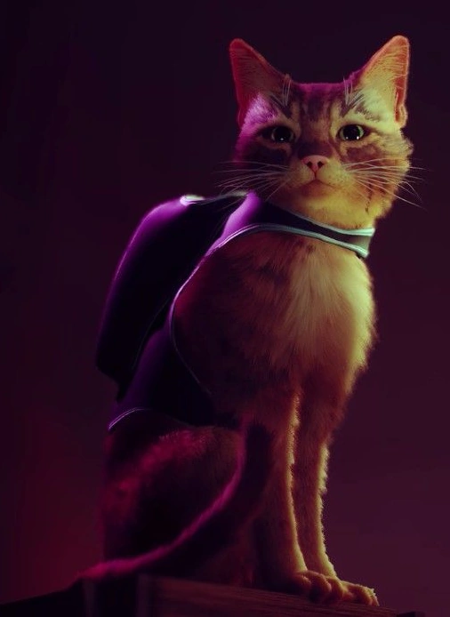 The Cat (Stray) | Heroes Wiki | Fandom